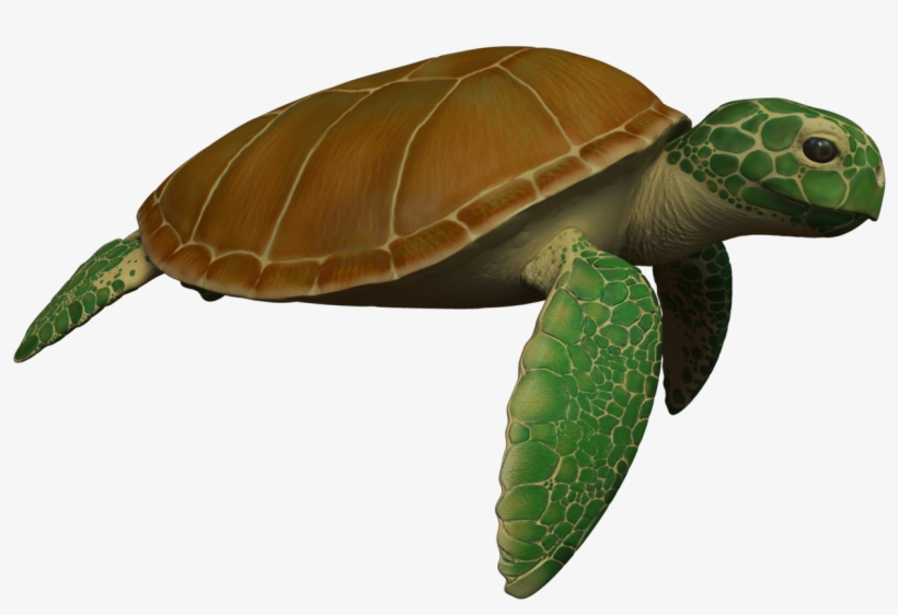 Download Animated Sea Turtle Wallpaper Iphone - Sea Turtle Moving ...