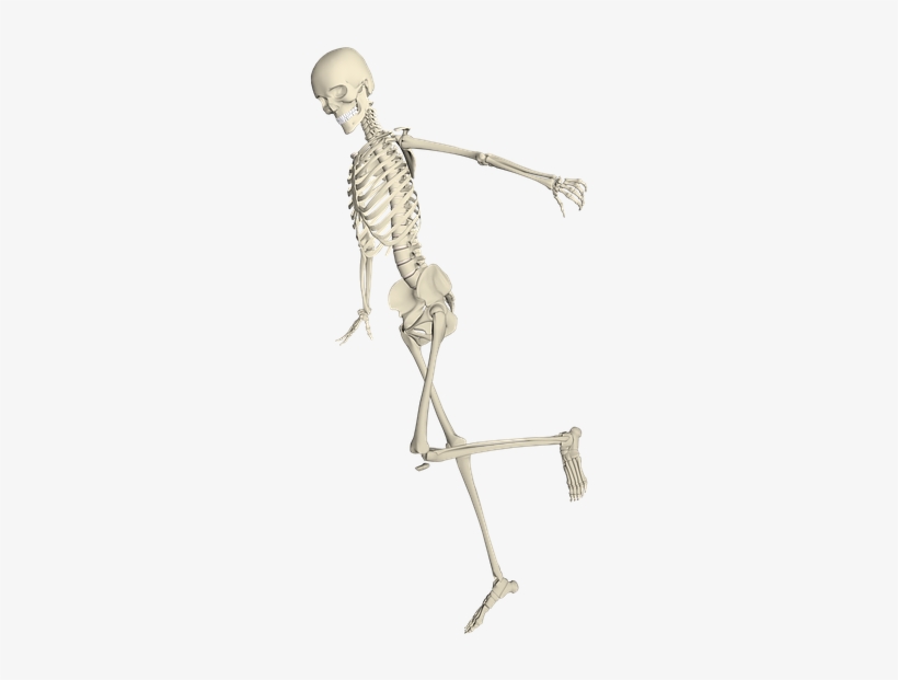 Skeleton Run Transparent Background PNG Image | Transparent PNG Free ...
