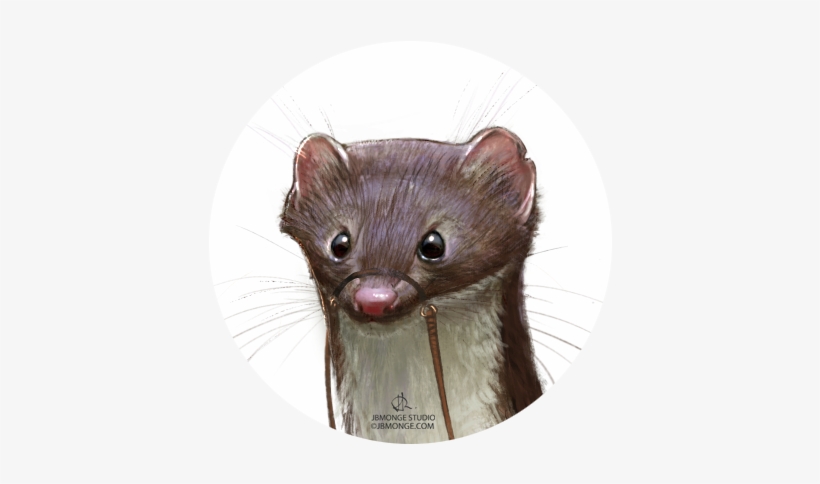 Close Up Weasel - Illustrator PNG Image | Transparent PNG Free Download ...