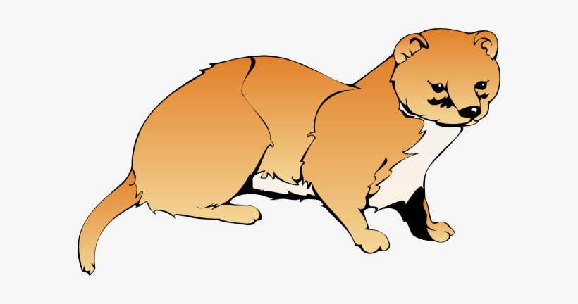 Download Weasel-hi - Animated Weasel | Transparent PNG Download | SeekPNG