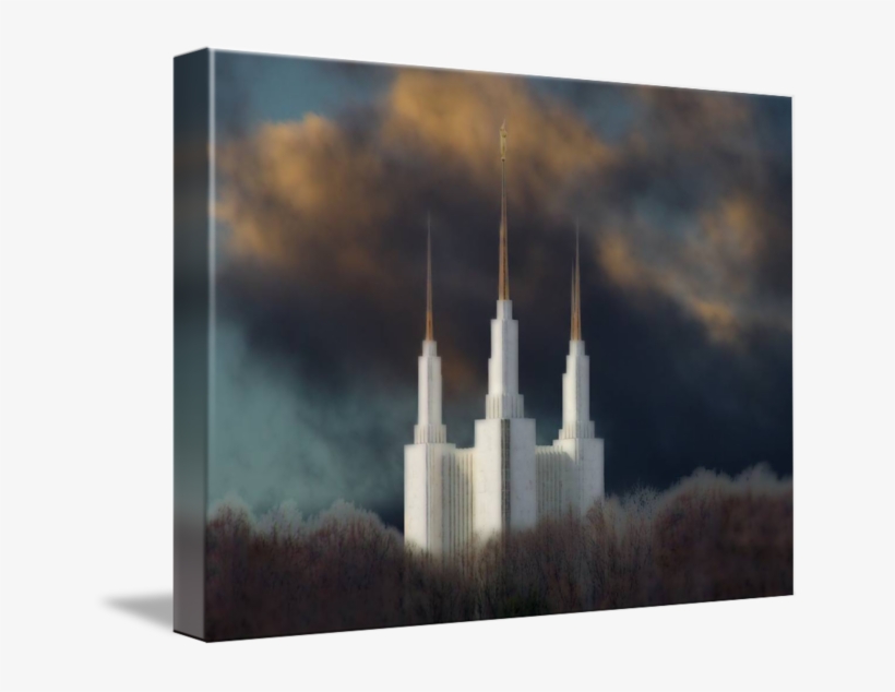 "washinton Dc Temple Winter" By Terry Springer, Tumwater, - Gallery ...