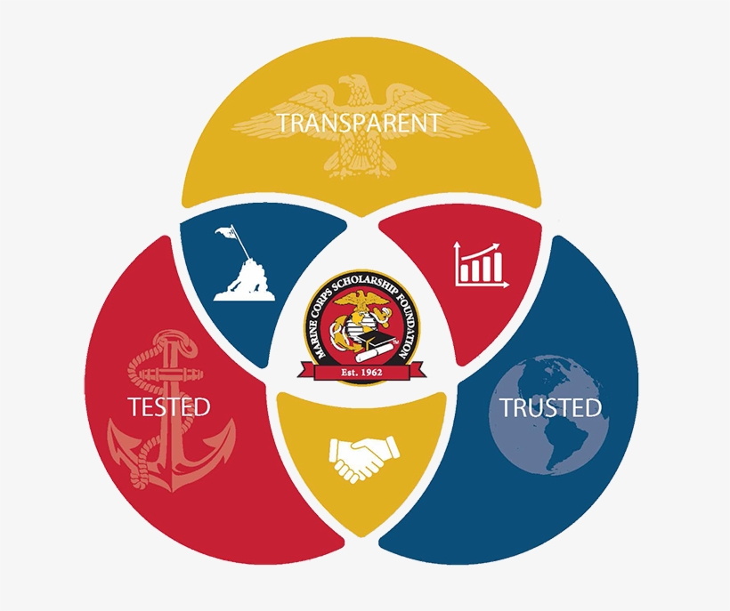 Infographic PNG Image | Transparent PNG Free Download on SeekPNG