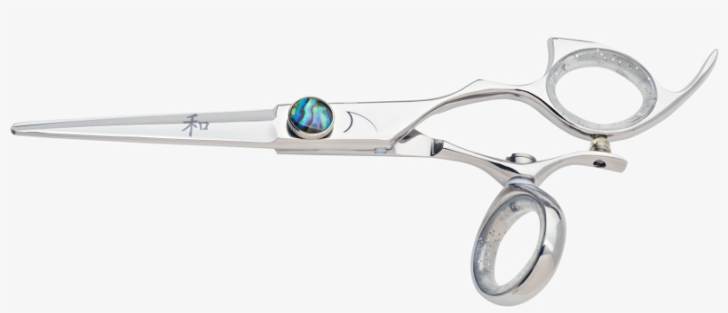 From Slide Cutting, Point Cutting, And Dry Cutting, - Shark Fin Monarch ...