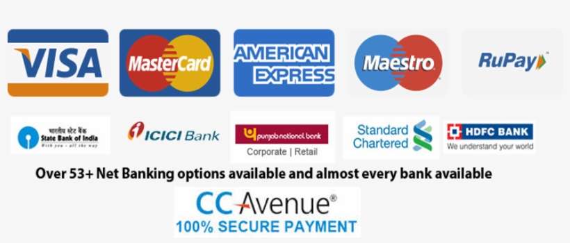 Credit Card Server Payment - 12 American Express Logo Decal Sticker For ...