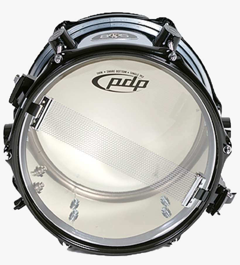 Pdp 805 Chrome Over Steel Snare Drums 6 X - Pdp Drums PNG Image ...