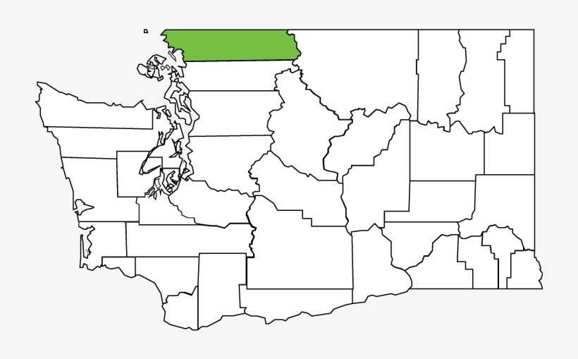 Quick Links - Washington State Transparent Icon PNG Image | Transparent ...