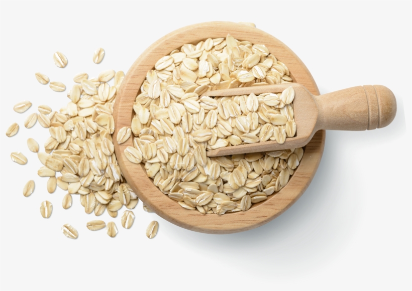 Oats PNG Image | Transparent PNG Free Download on SeekPNG