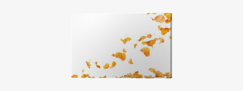 Autumn Leaves Falling To The Ground Canvas Print • - Leaf On The Wind ...