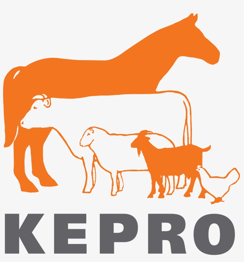 Sign In Create Account - Kepro Logo PNG Image | Transparent PNG Free ...