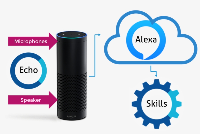 For Example, The Amazon Echo Pictured Here Contains - Alexa Components ...