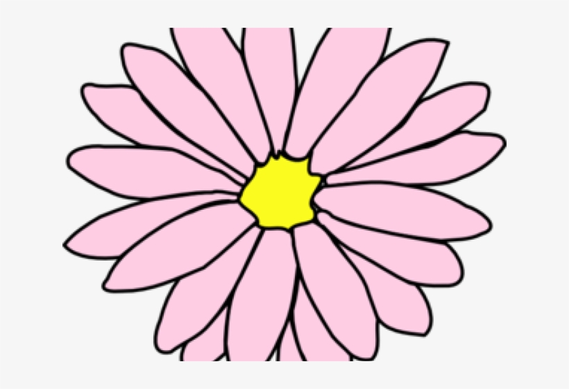 Single Flower Coloring Flower PNG Image | Transparent PNG Free Download ...
