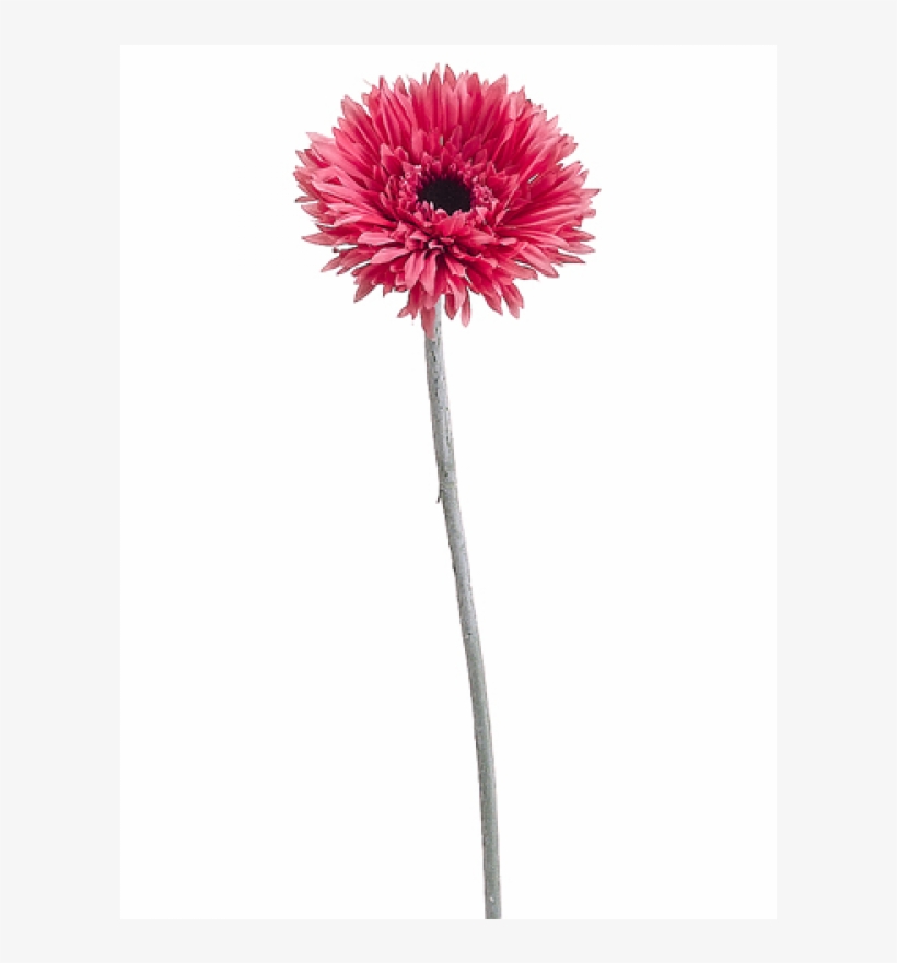 24" Spider Gerbera Daisy Spray Pink - Silk Plants Direct Spider Gerbera ...