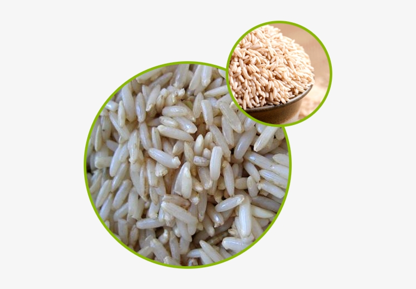 Germinated Brown Rice Gaba Gamma Aminobutyric Acid - Organic Brown Rice ...