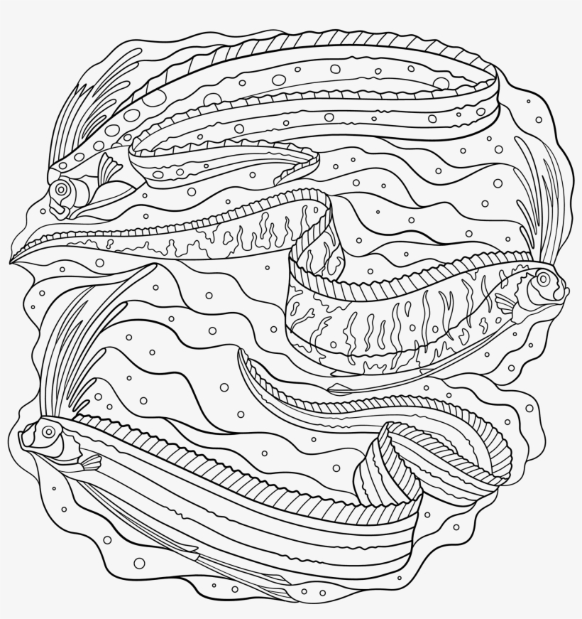 "golden Oarfish" 1 Of 60 Pages - Coloring Book PNG Image | Transparent ...