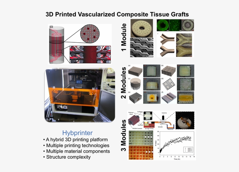 Figure 1 Shows The Schematic Of A Vascularized Composite - 3d Printing ...