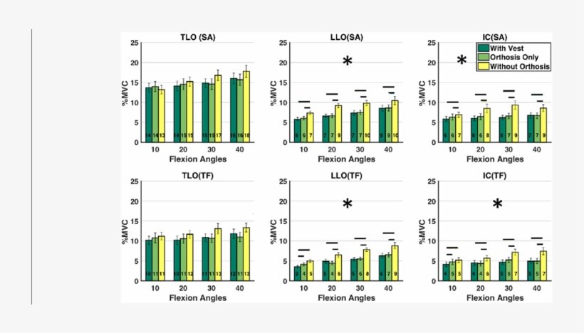 Average Muscle Activation Levels For Longissimus And - Muscle PNG Image ...