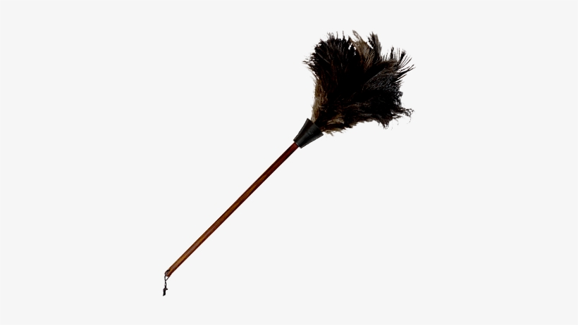 Download Feather Duster Transparent Png | Transparent PNG Download ...