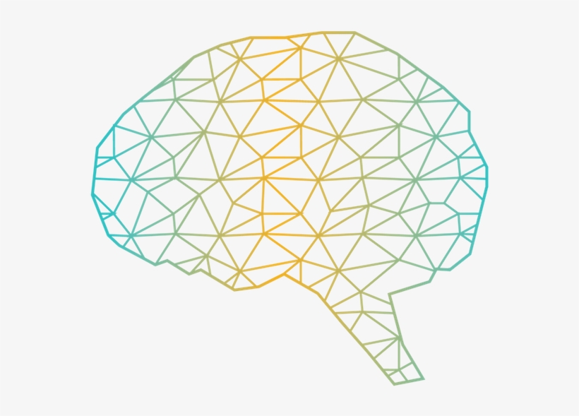 Brain - Behavior PNG Image | Transparent PNG Free Download on SeekPNG
