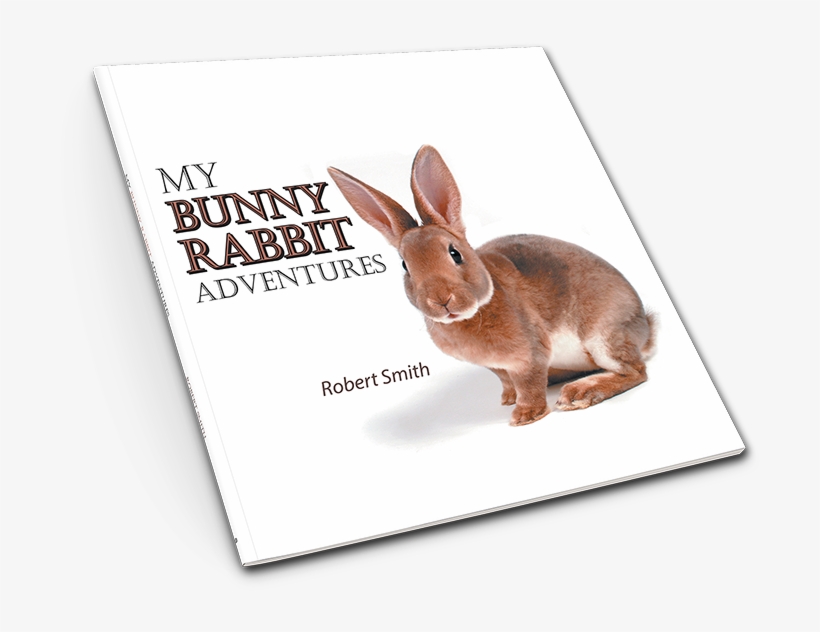 My Bunny Rabbit Adventures - My Bunny Rabbit Adventures [book] PNG ...