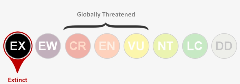 Endangered Status PNG Image | Transparent PNG Free Download on SeekPNG