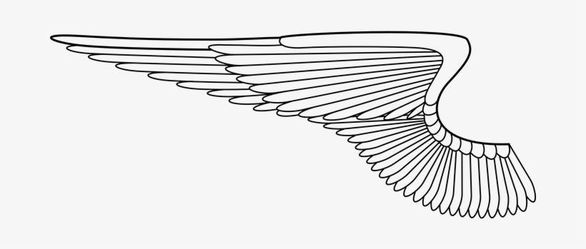 Angel Wings Angel Wing Bird Feathers Flyin - Wing Clip Art PNG Image ...
