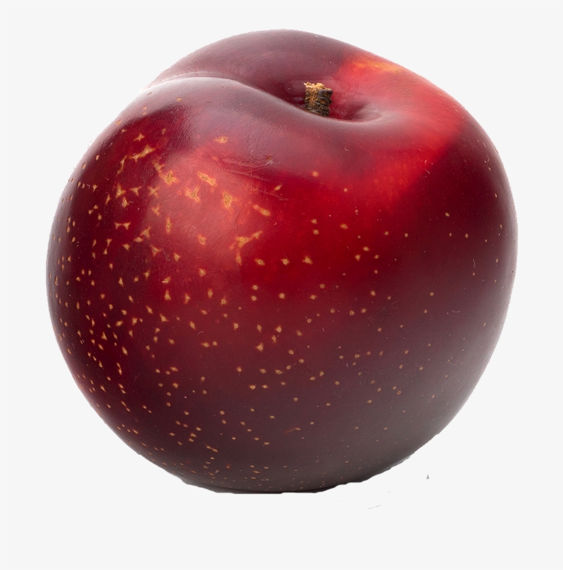 Plum Free Png Image - Plum Fruit PNG Image | Transparent PNG Free ...