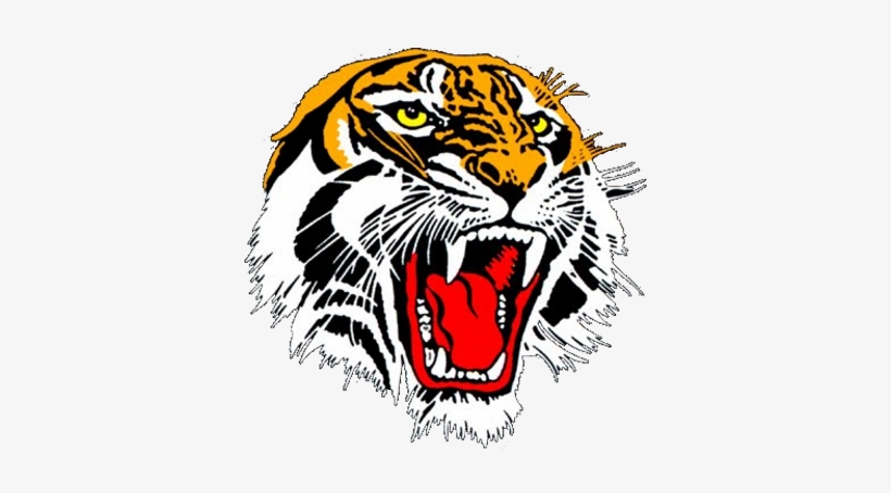 Download Tiger Flex Mascot Big Trans2 - Balmain Tigers Logo Png ...