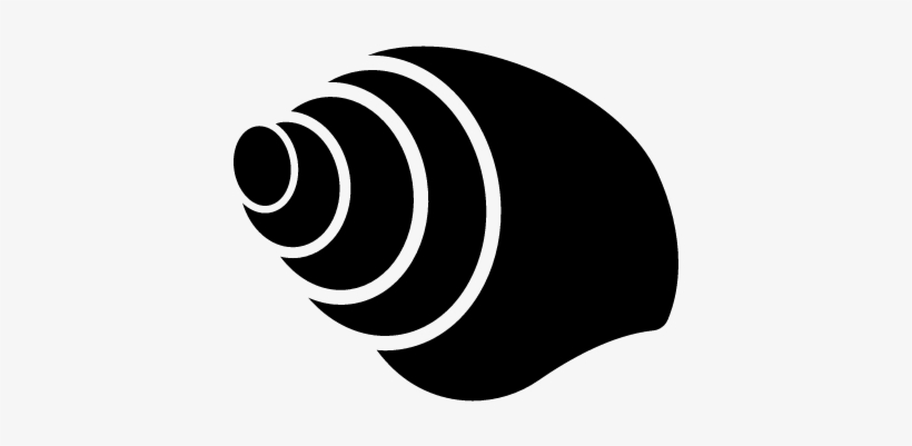 Seashell Conch Vector - Conch Icon Png PNG Image | Transparent PNG Free ...