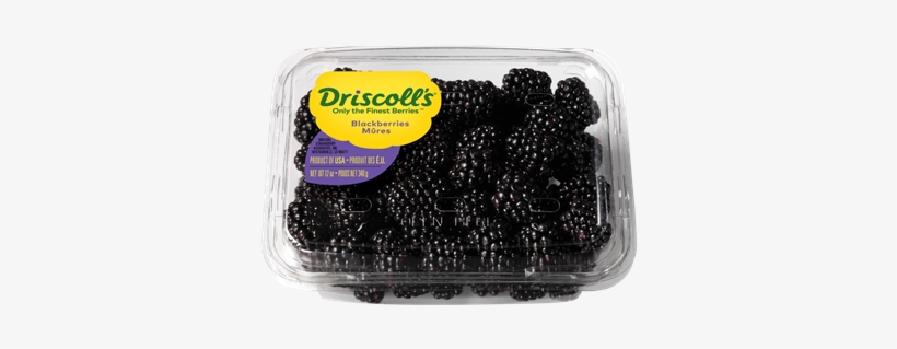 Driscoll Blackberries - Driscoll's Blueberries (australia/ Usa) PNG ...