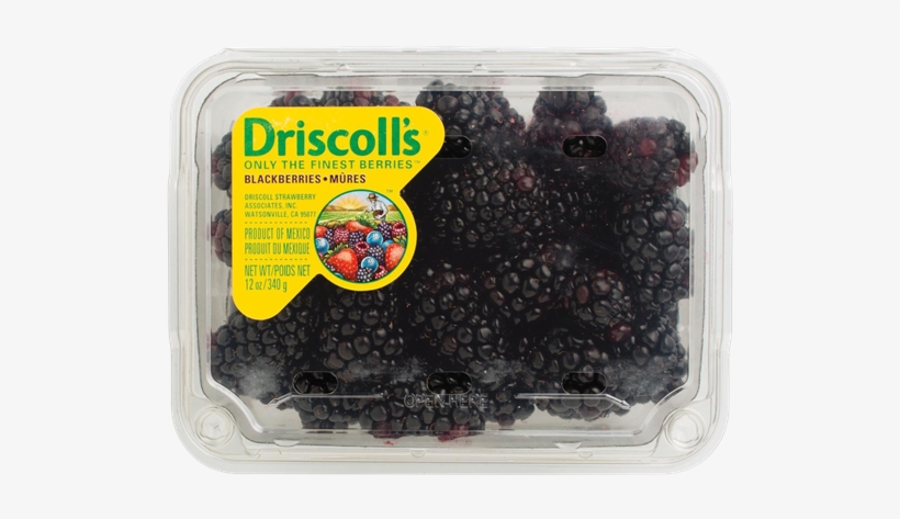 Driscoll Blackberries - Blackberries Driscoll 8 Oz PNG Image ...