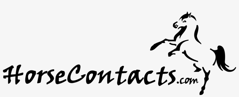 Horse Contacts Logo Png Transparent - Vector Graphics PNG Image ...