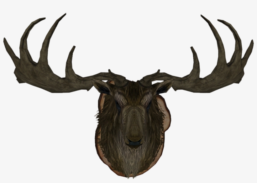 Maleelkmounthf - Animal Mounted Head Png PNG Image | Transparent PNG ...