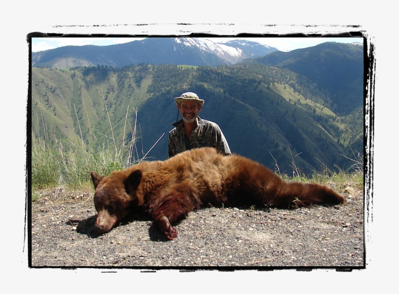 Idaho Spring Bear Hunting Always Proves To Be Second - Hunting PNG ...
