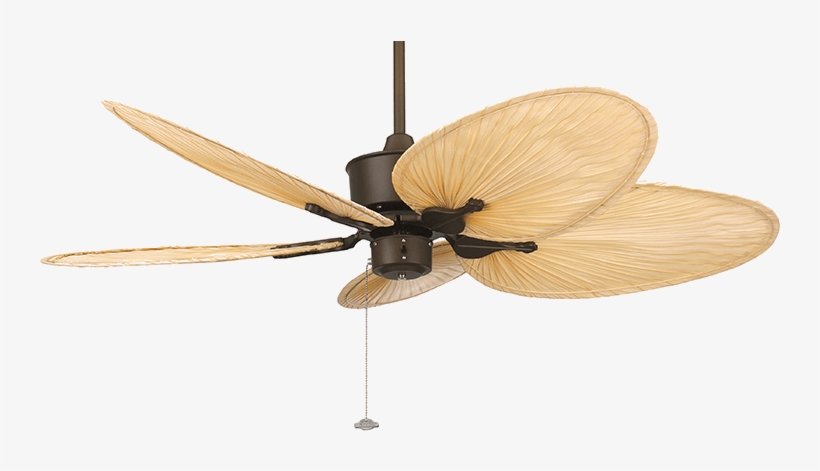 Islander Fanimation Palm Blade Fan - Fanimation Fp320-isp4 Islander 52 ...