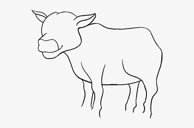 How To Draw Cow - Drawing PNG Image | Transparent PNG Free Download on ...