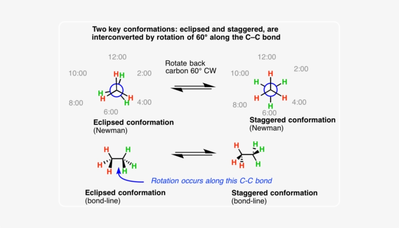 When We Look At This “staggered” Molecule From The - Newman Projection ...