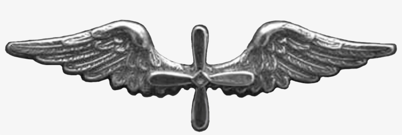 Enlisted Aviator Badge - Aviator Badges PNG Image | Transparent PNG ...