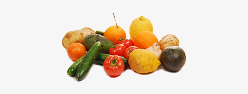 At The End Of This Session, Participants Will Be Able - Perishable ...