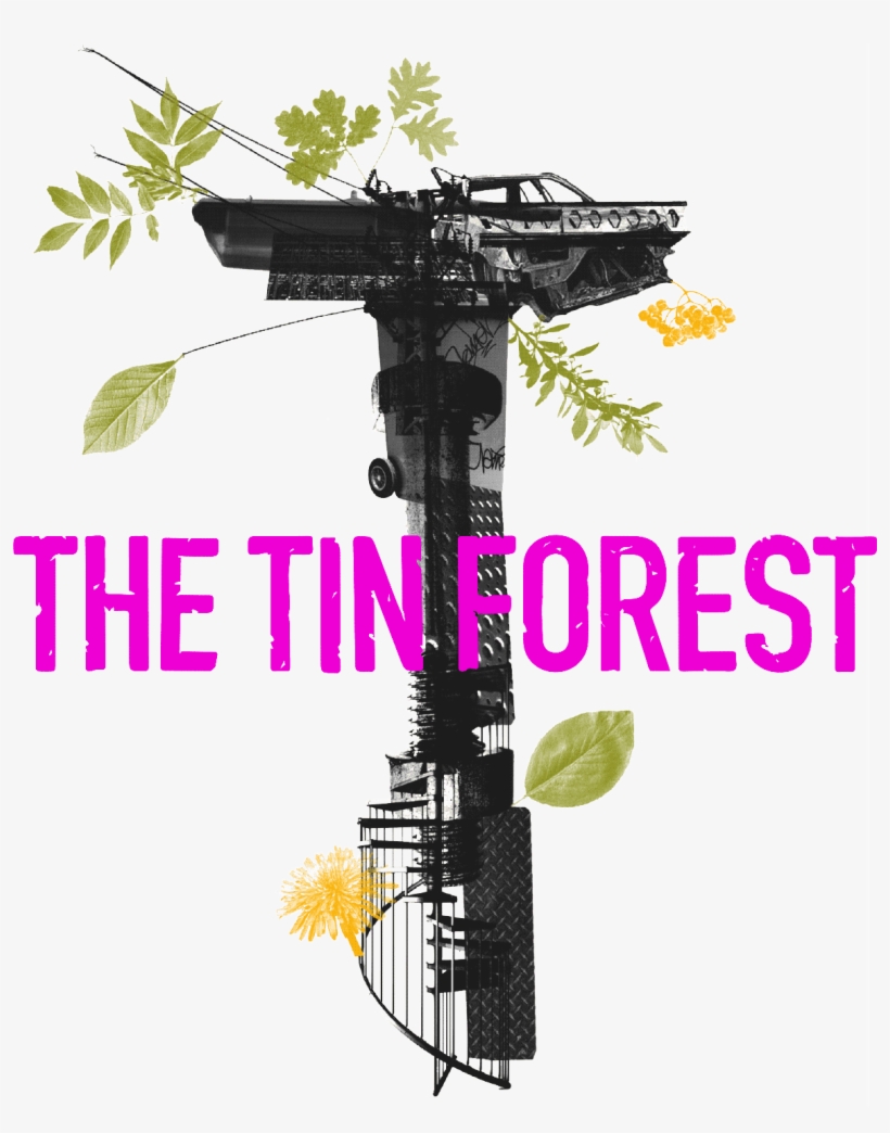 The Tin Forest - Albany PNG Image | Transparent PNG Free Download on ...
