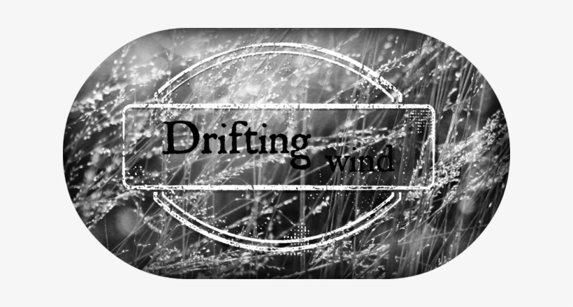 Trying Again Rounded Corners Bw - May PNG Image | Transparent PNG Free ...
