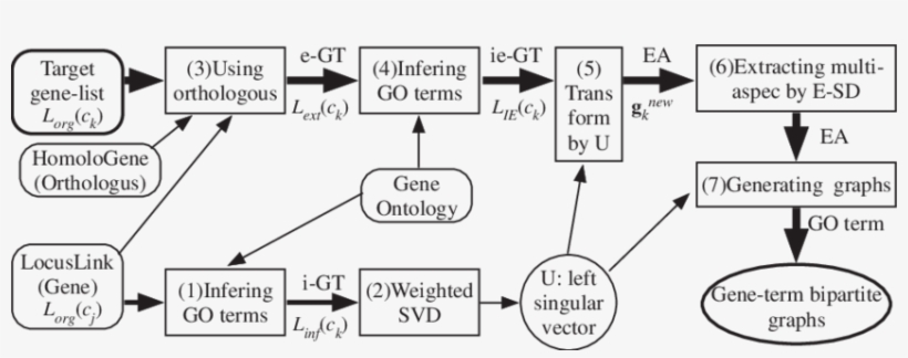 Download Rounded-rectangles Indicate Input Data, Rectangles - Diagram | Transparent PNG Download ...