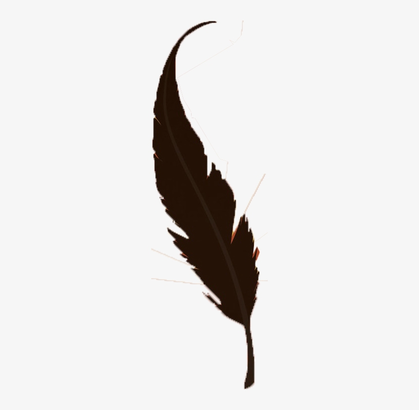 Magic Feather - Computer File PNG Image | Transparent PNG Free Download ...
