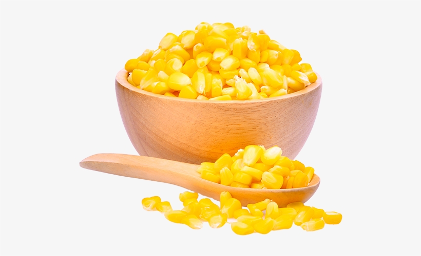 Maize PNG Image | Transparent PNG Free Download on SeekPNG
