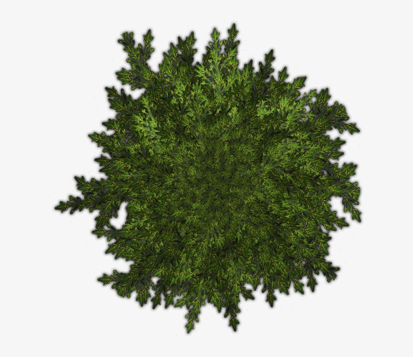 App - Js1391260163 - 24swapping Https - //s3 - Amazonaws - Billboard ...