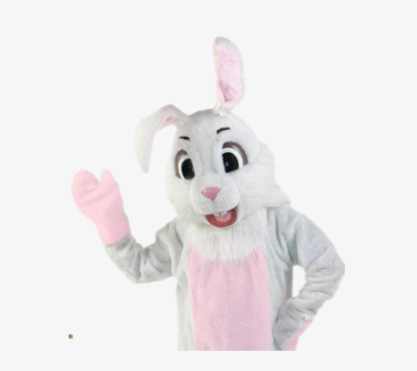 New Easter Bunny Mascot Costume PNG Image | Transparent PNG Free ...