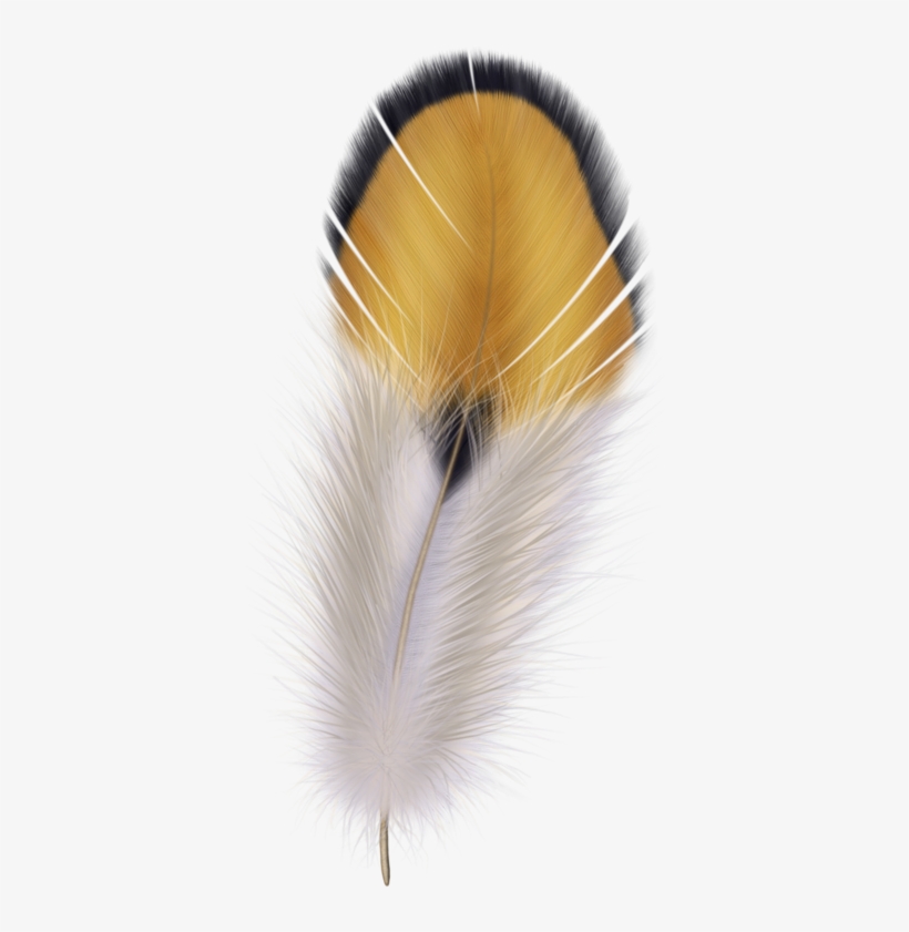Feather Png - Fur Bird Png PNG Image | Transparent PNG Free Download on ...