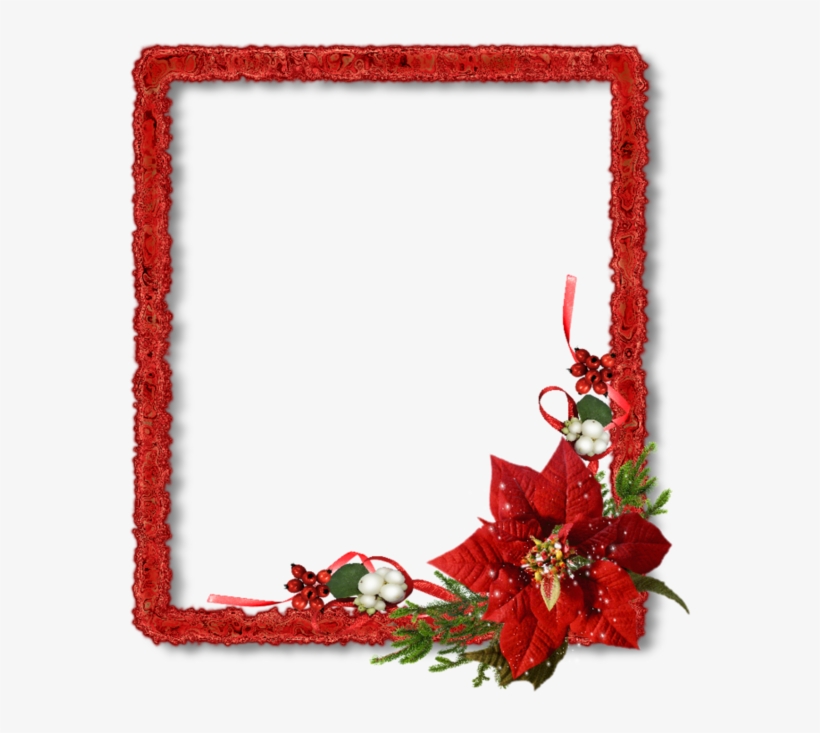 Christmas Flowers Poinsettia Frames - Christmas Paper Frames Png PNG ...