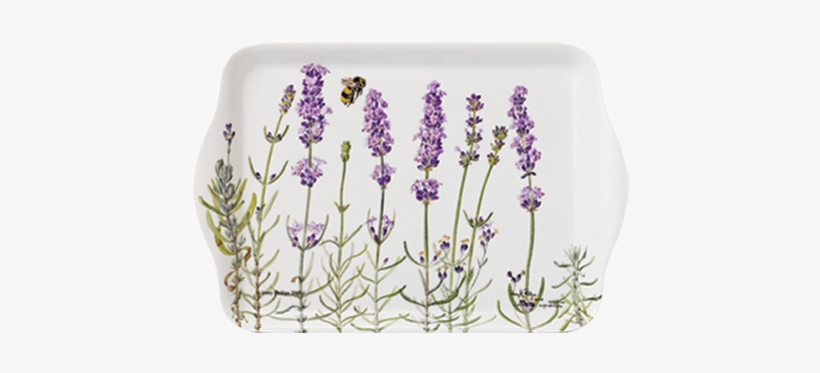 89314 Snack Tray Ilovelavender - Coasters By Ashdene - I Love Lavender ...