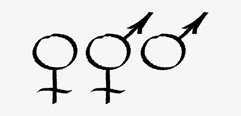 Male And 2 Female Symbol PNG Image | Transparent PNG Free Download on ...