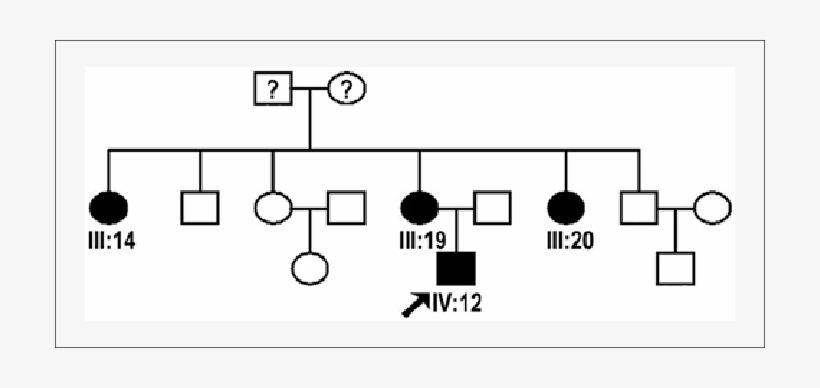 Square Indicates Male, Circle Female - Diagram PNG Image | Transparent ...